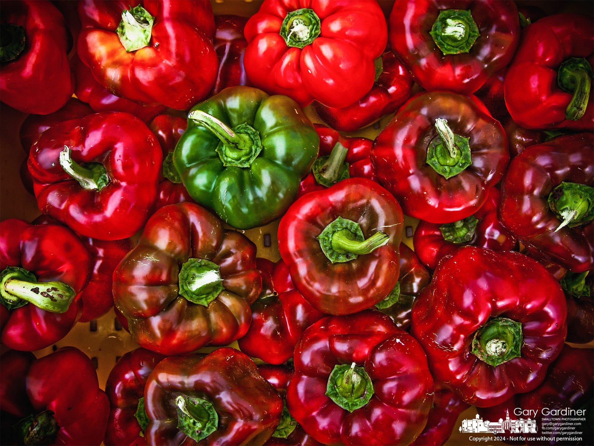 Disturbing Patterns - by Gary Gardiner - PhotoCamp Daily