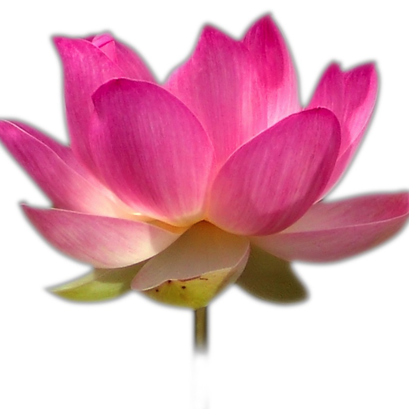 Faith & Spirituality - Substack Newsletter Charts - Reletter