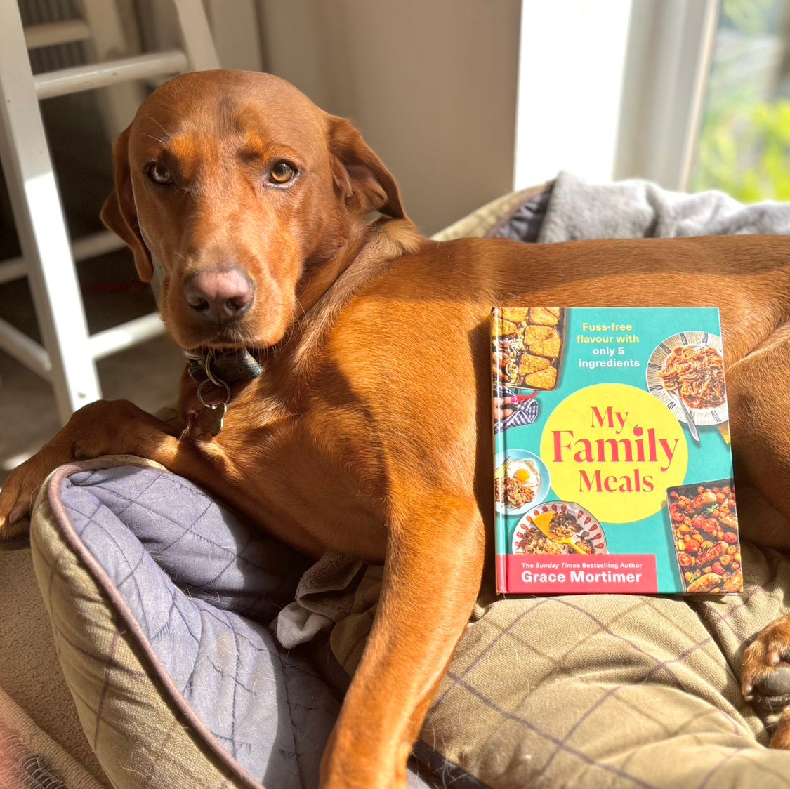 Grace Mortimer | Substack