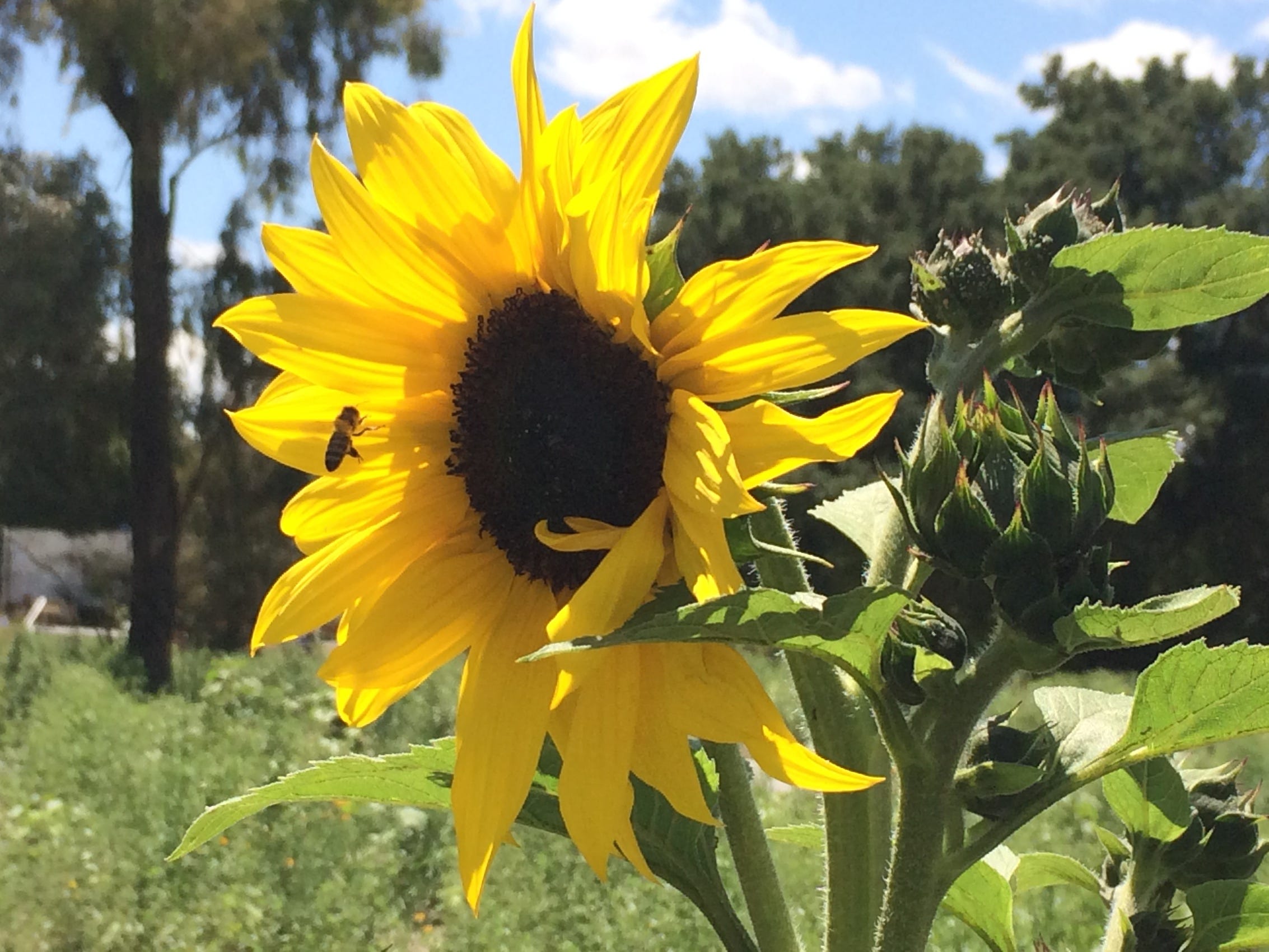 Janet Salsman | Substack