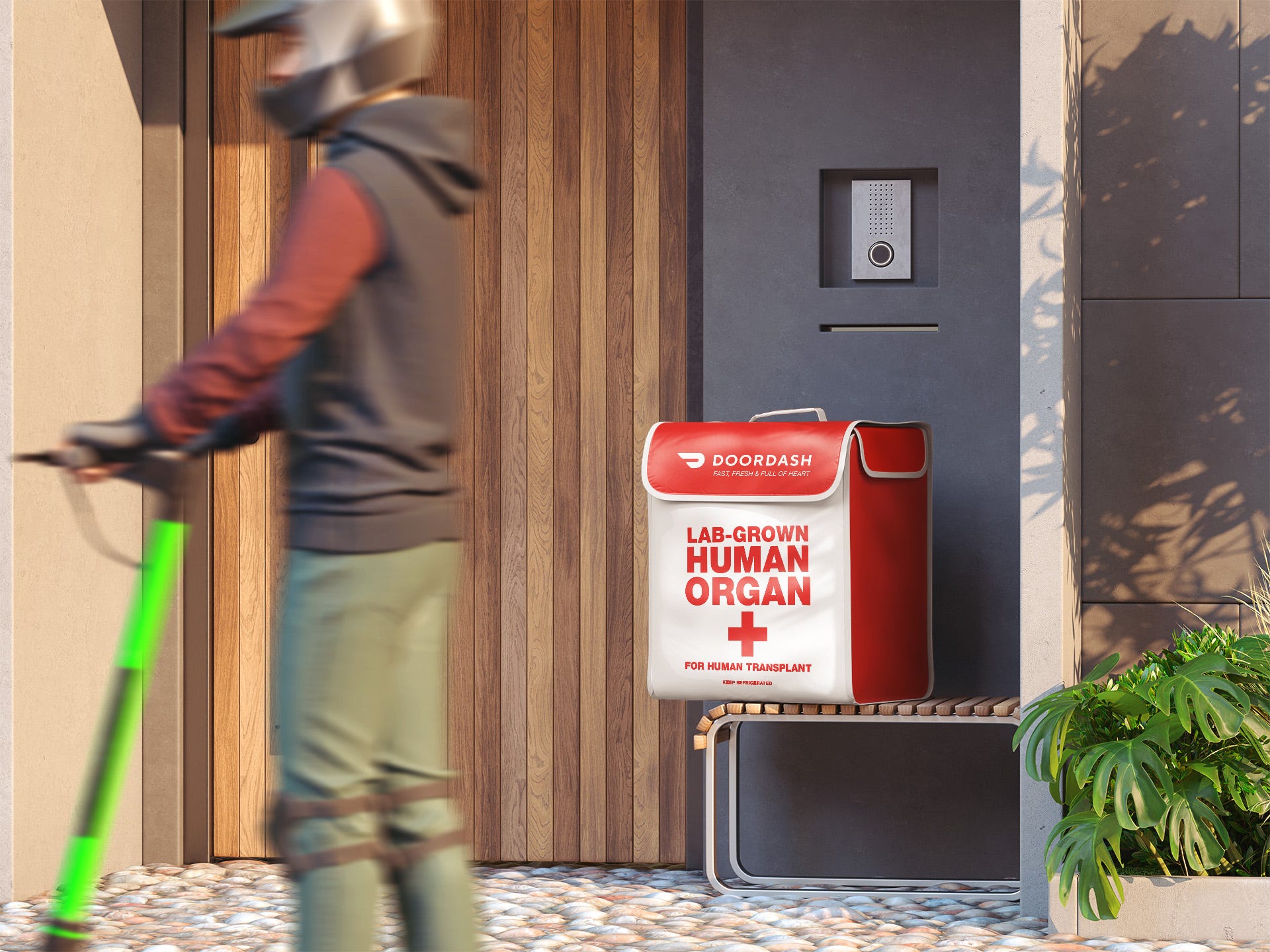 Organ Delivery in under 30 Minutes - by Dré Labre