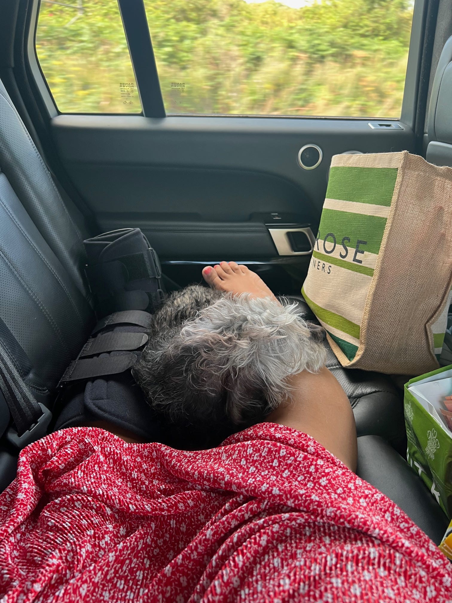 Chapter 5: Crawling - by Alice Audley