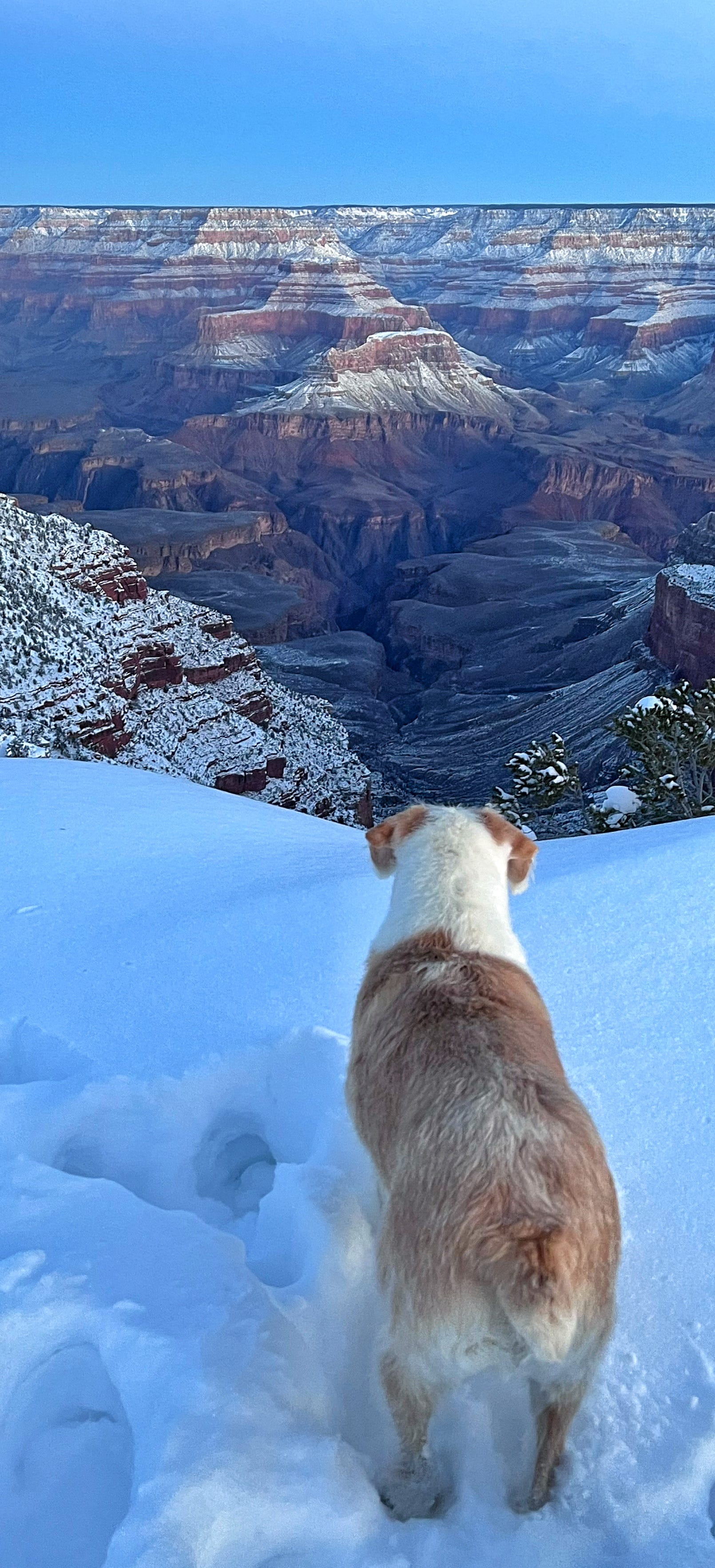 Postcards from the Open Road: Thank You, Arizona