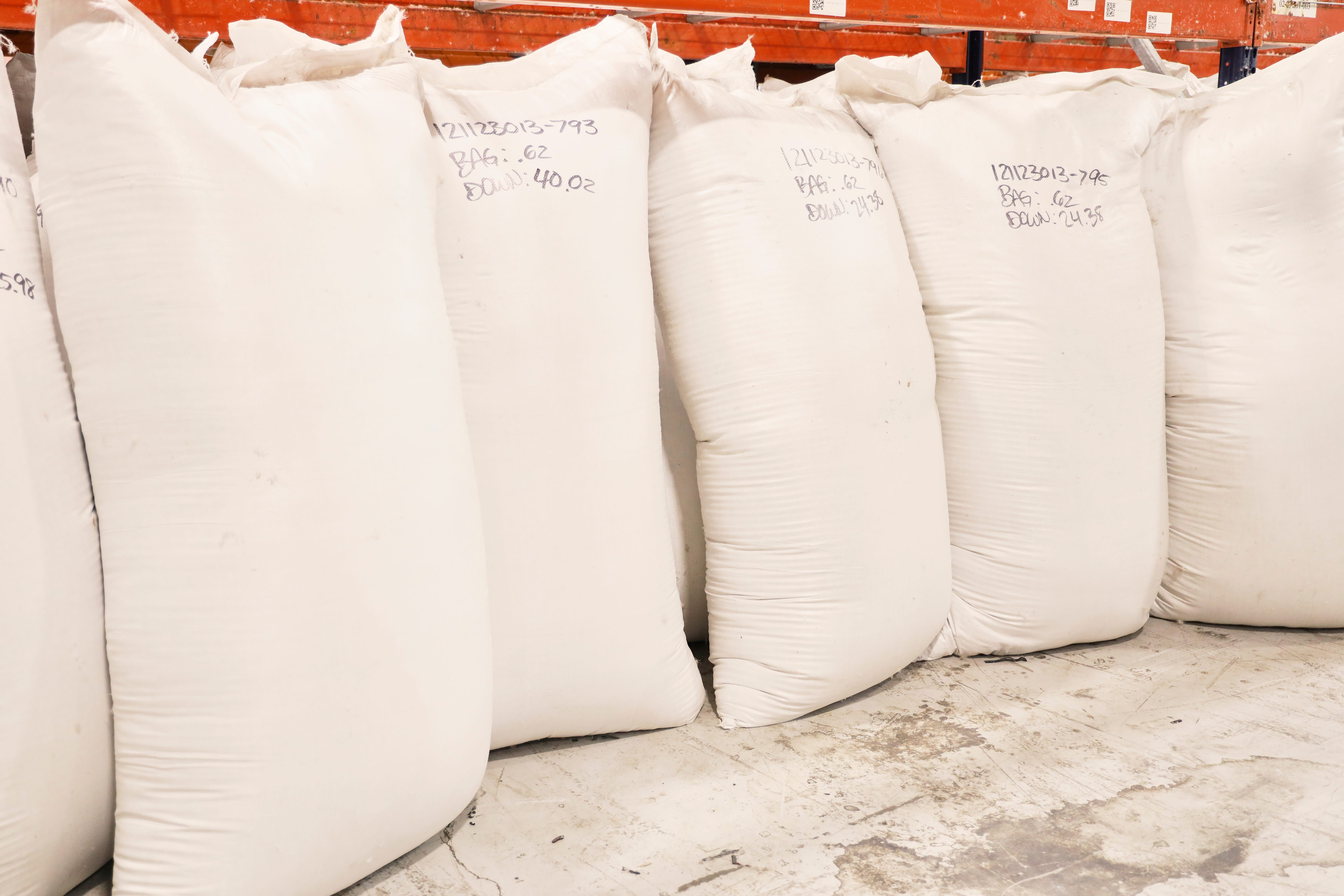 Recycling Down with Tersus Solutions - by Cynthia Power