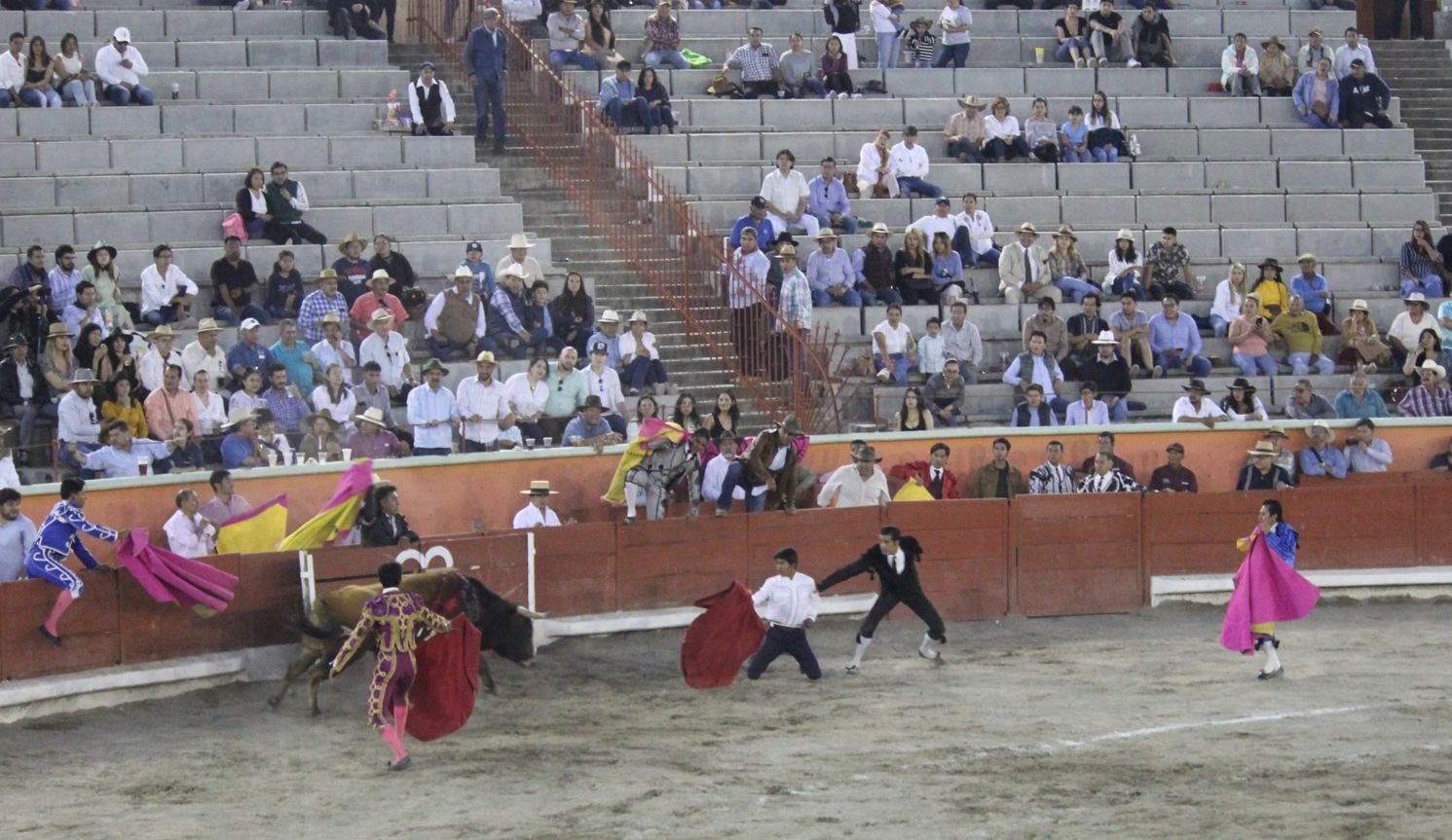 El espontáneo de Apizaco: caminando desde Ecuador para pegar dos muletazos.