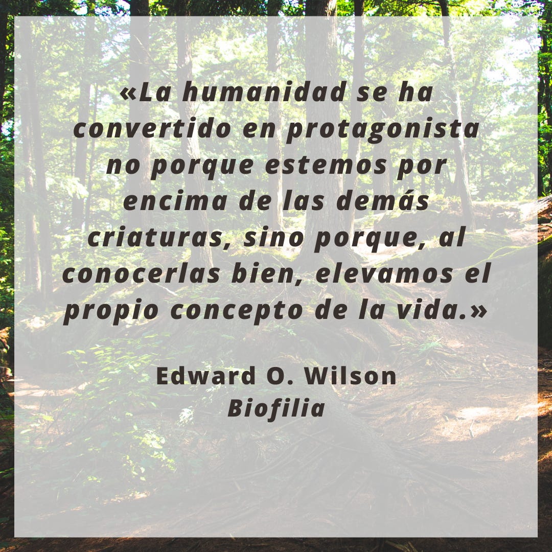 Más allá de la digestión: Las aves dispersan huevos de los insectos que ...