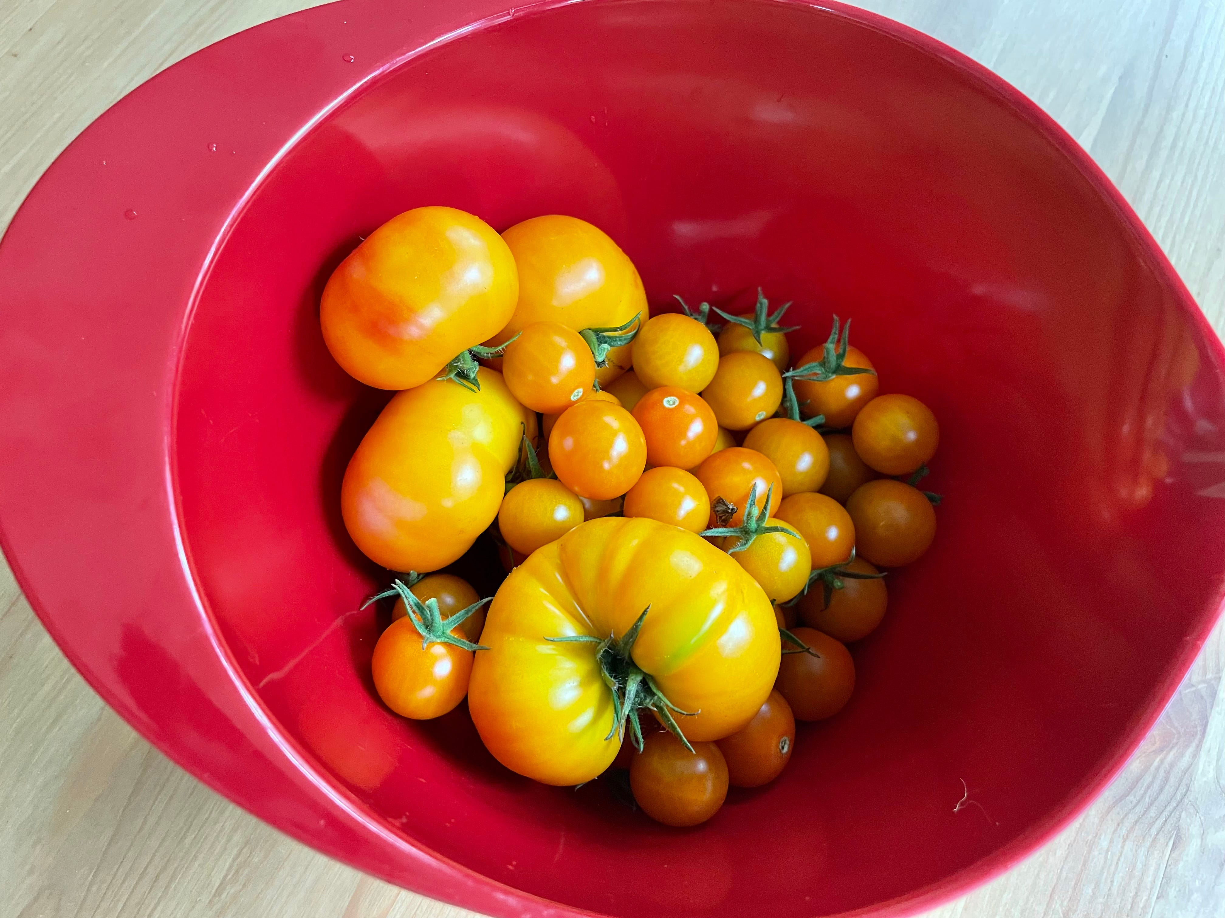 How to Pick the Perfect Tomato - by Boaz Frankel