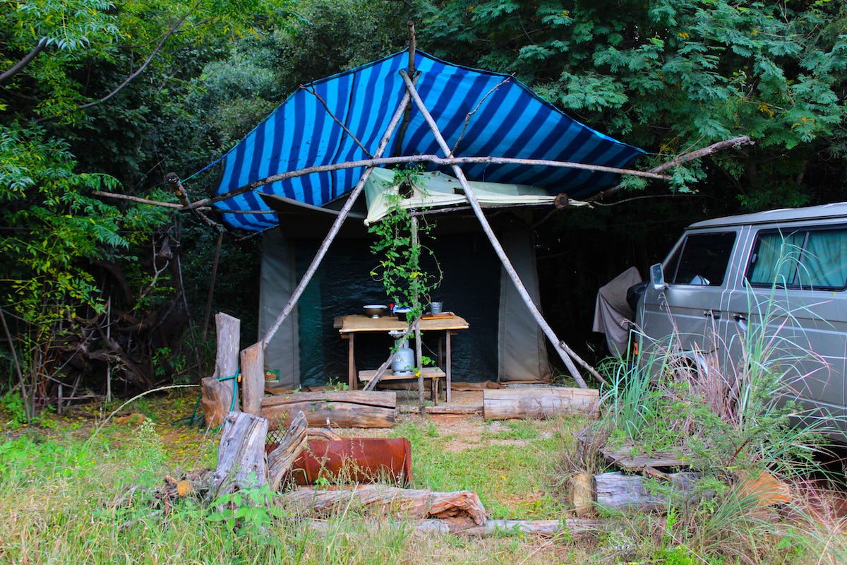 Trapezoid Monkey Biz For A Cool Tent - by Paul Collings