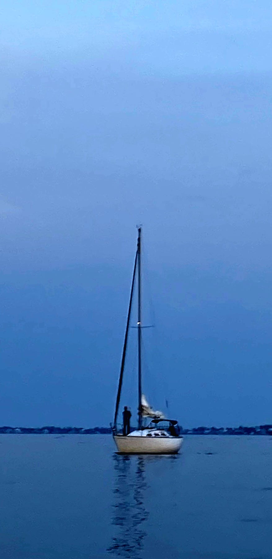 Pretty as a picture - by Ted Cruz's Beard - Ted’s Substack