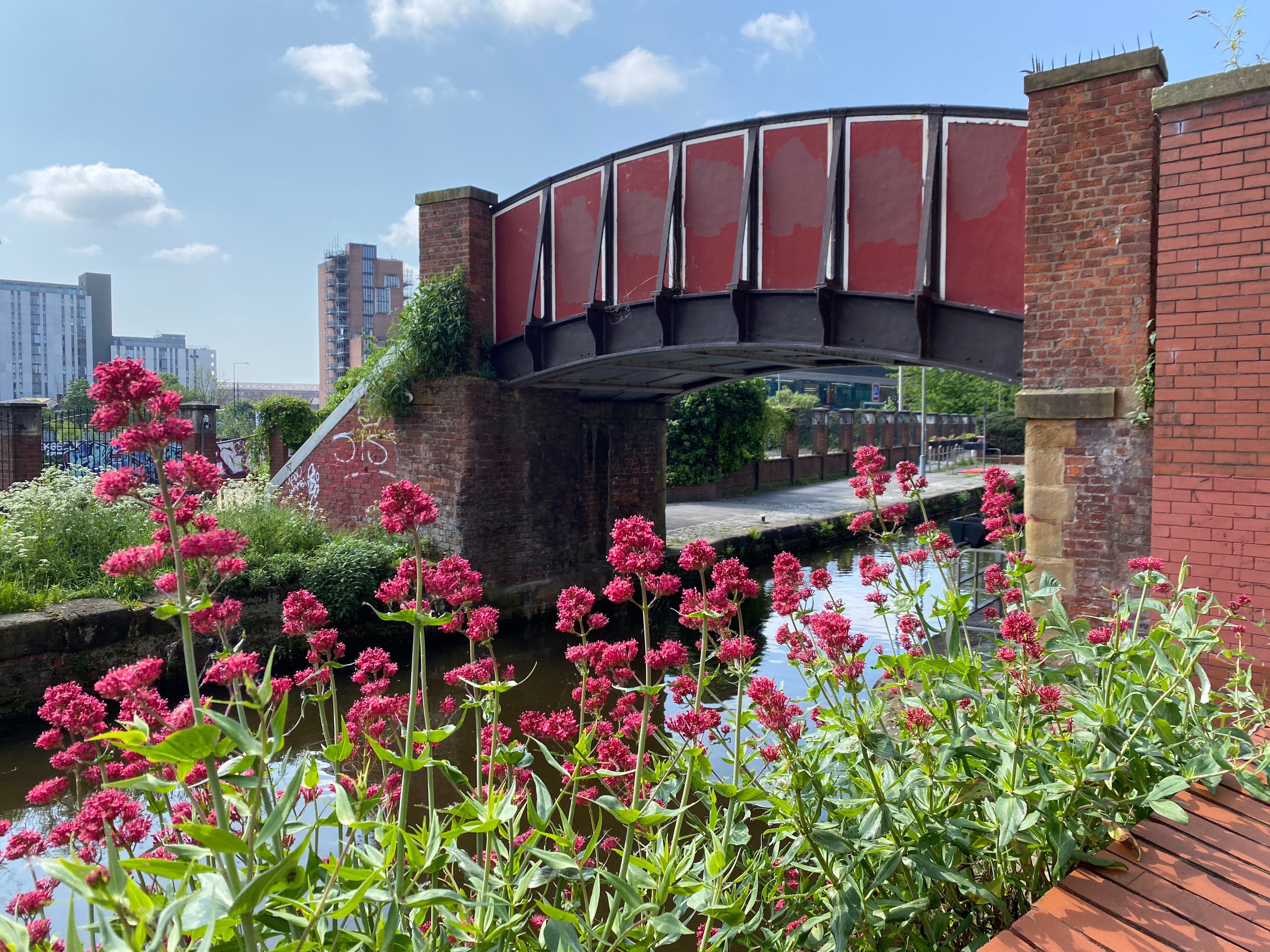 niche - by Jane Brocket - yarnstorm