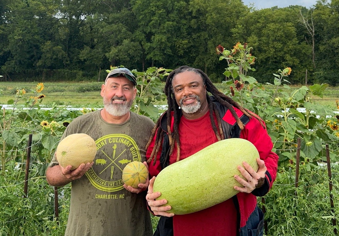 Beat the summer garden blues - The Charlotte Ledger