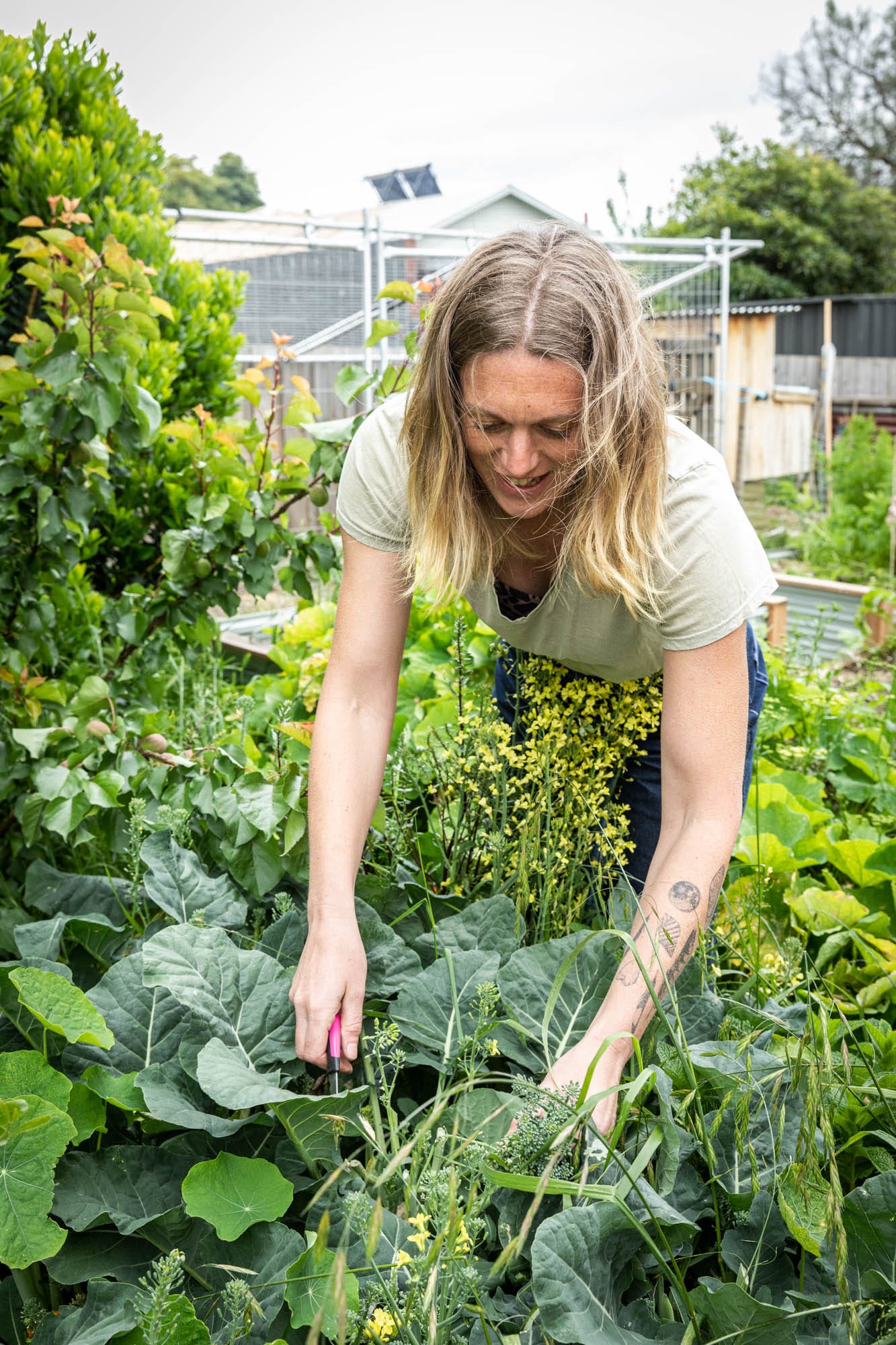 Jane Hilliard | Substack