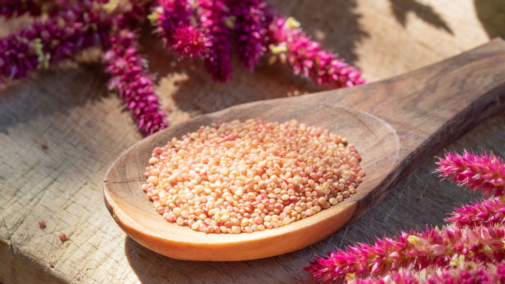 Amaranth - Color Insider