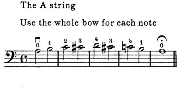 Why learning the whole fingerboard makes it less scary.