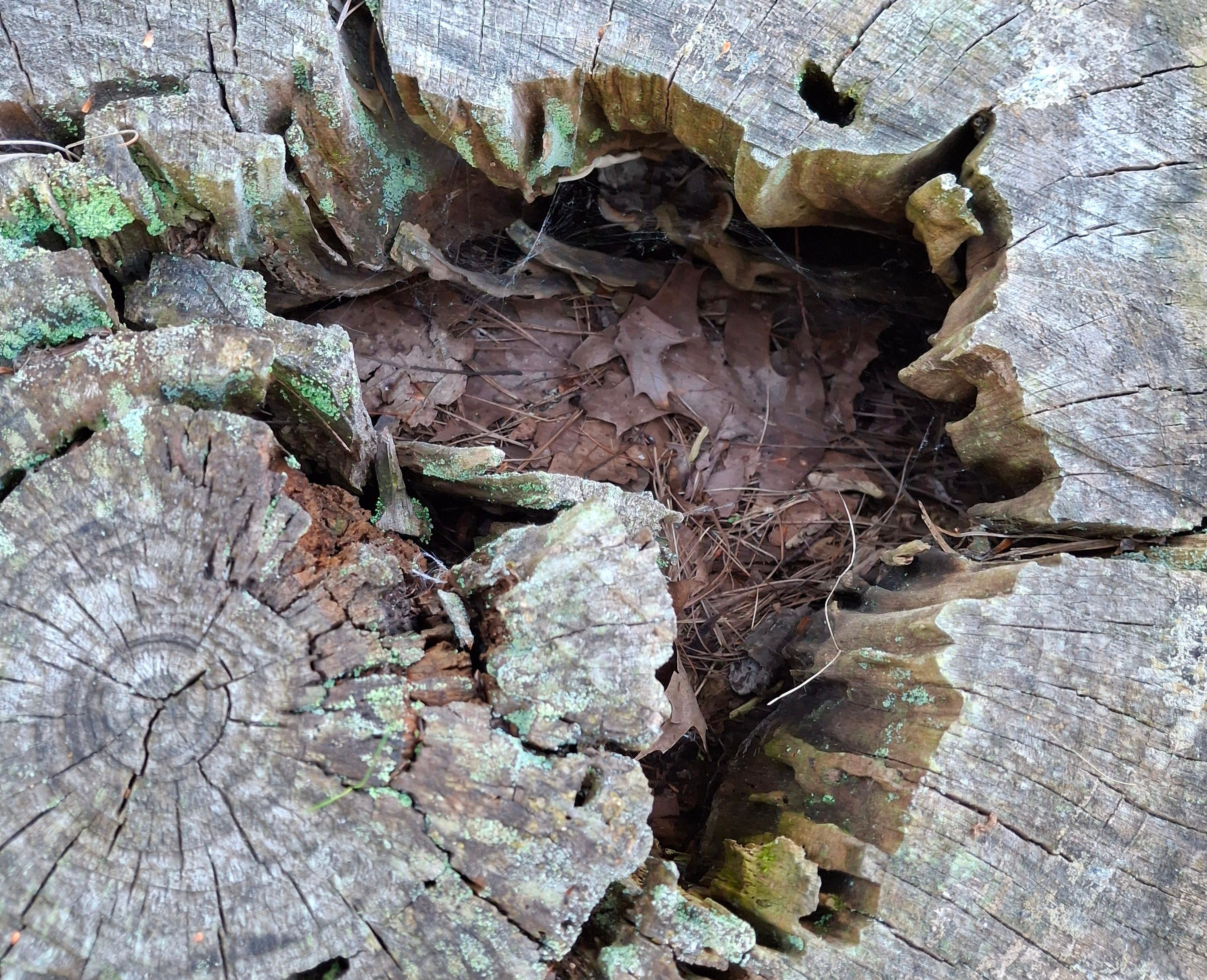 winning - by Rob Riley - Rob’s Substack