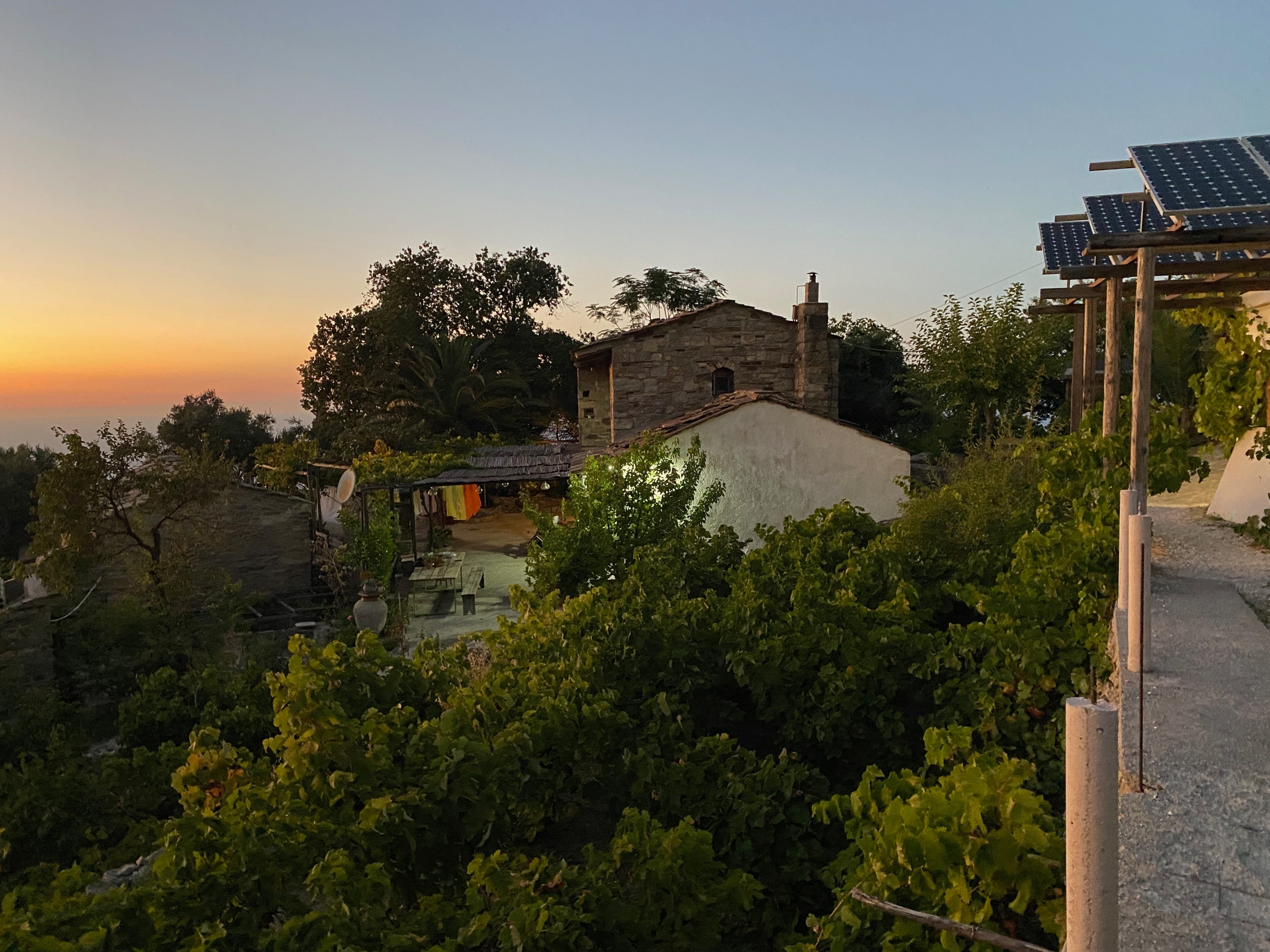 Ikarian Longevity and Lifestyle Retreat and Workshops! Sign up for ...