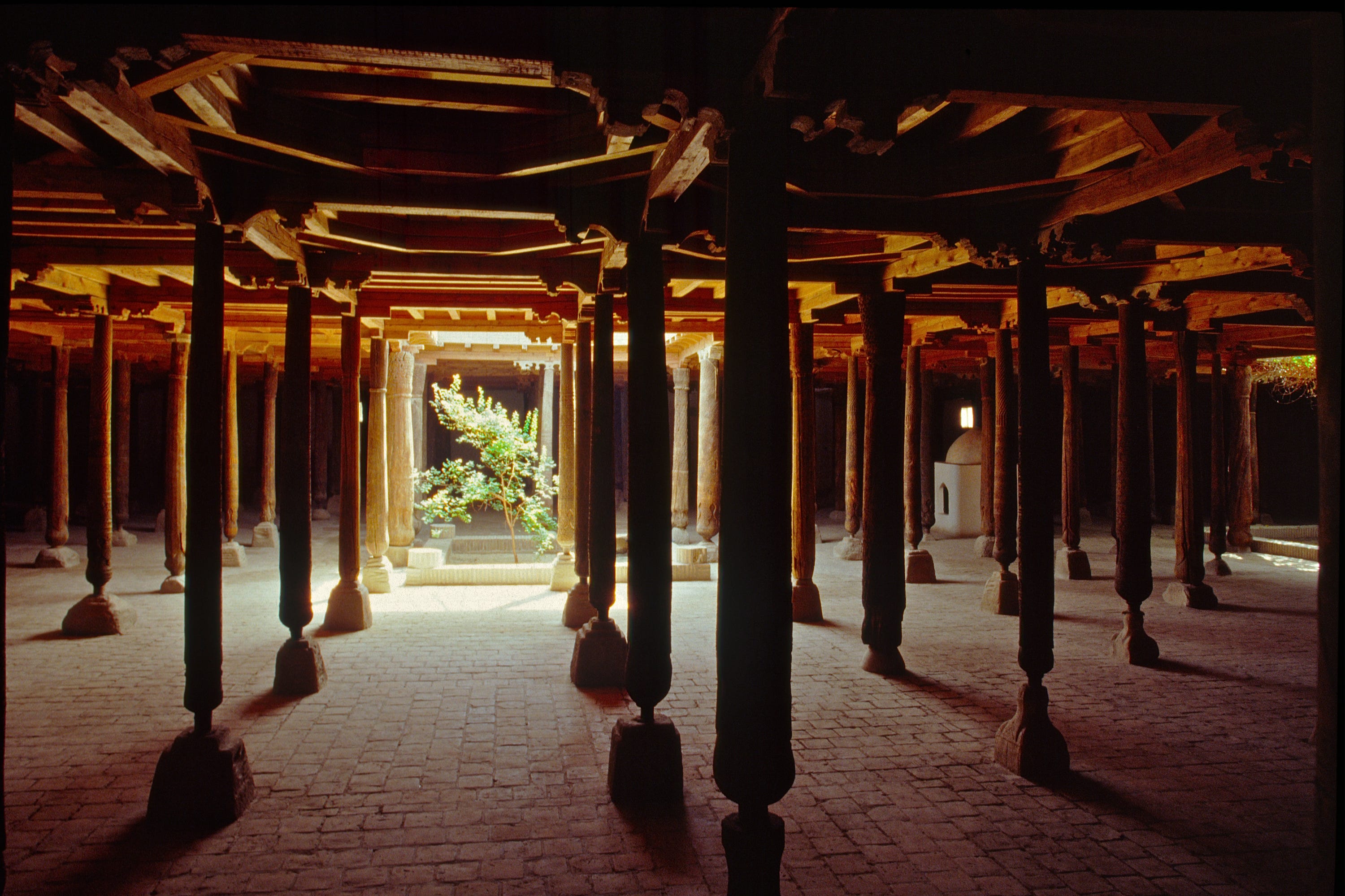 The Pillars of Photography - by TOM ANG - Dark2Light