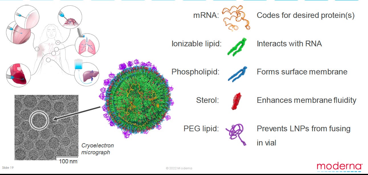 What do the LNPs really look like?