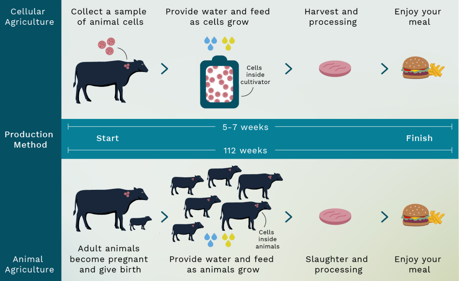 Science of the Lambs - by Matthew Holloway
