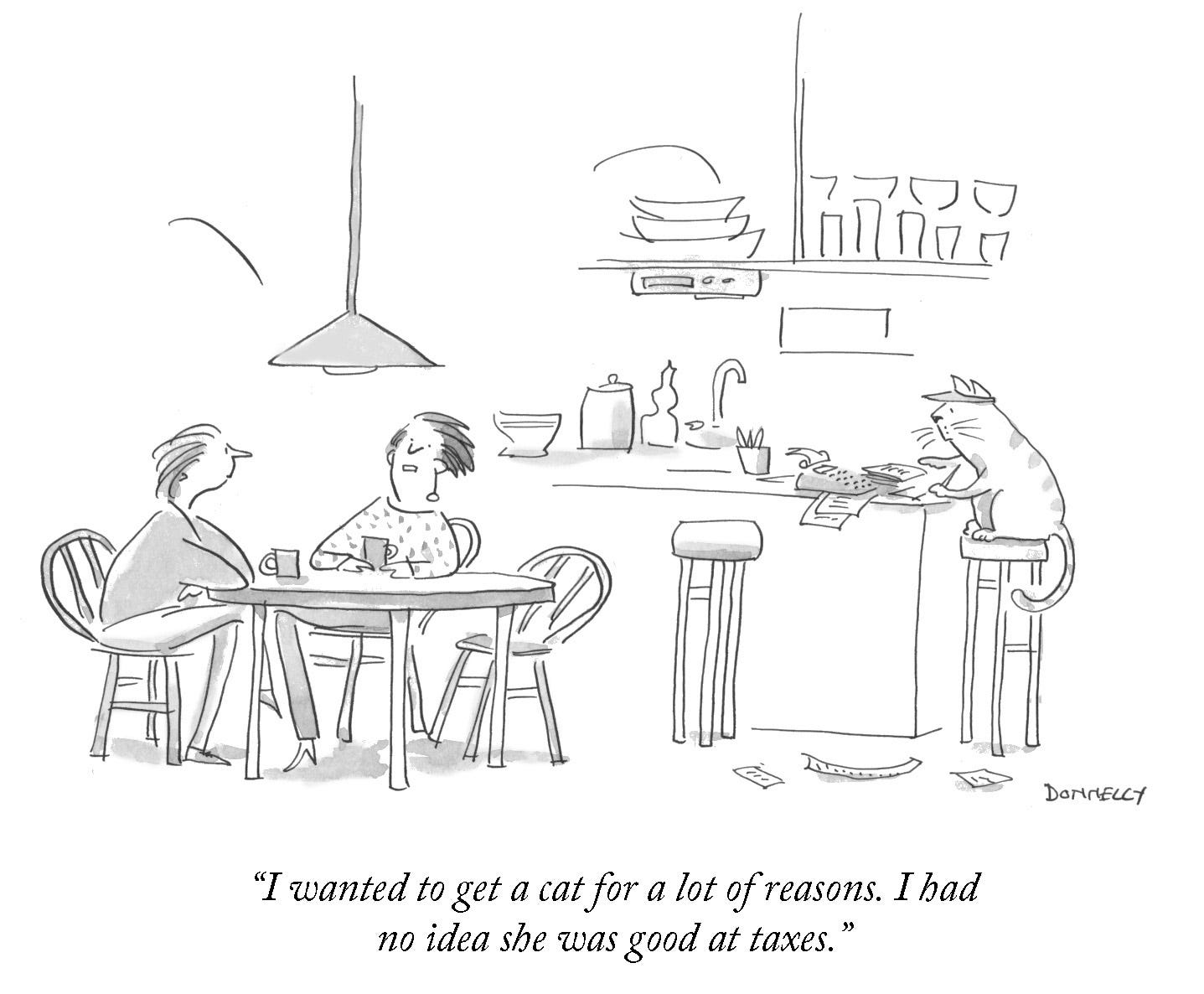 Silly Cat Cartoon Sunday - by Liza Donnelly - Seeing Things