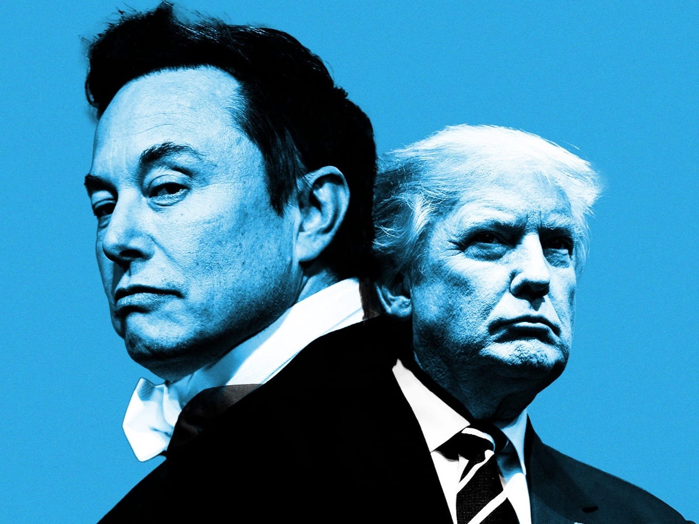 How We Triggered Elon - by Sarah Longwell - The Bulwark