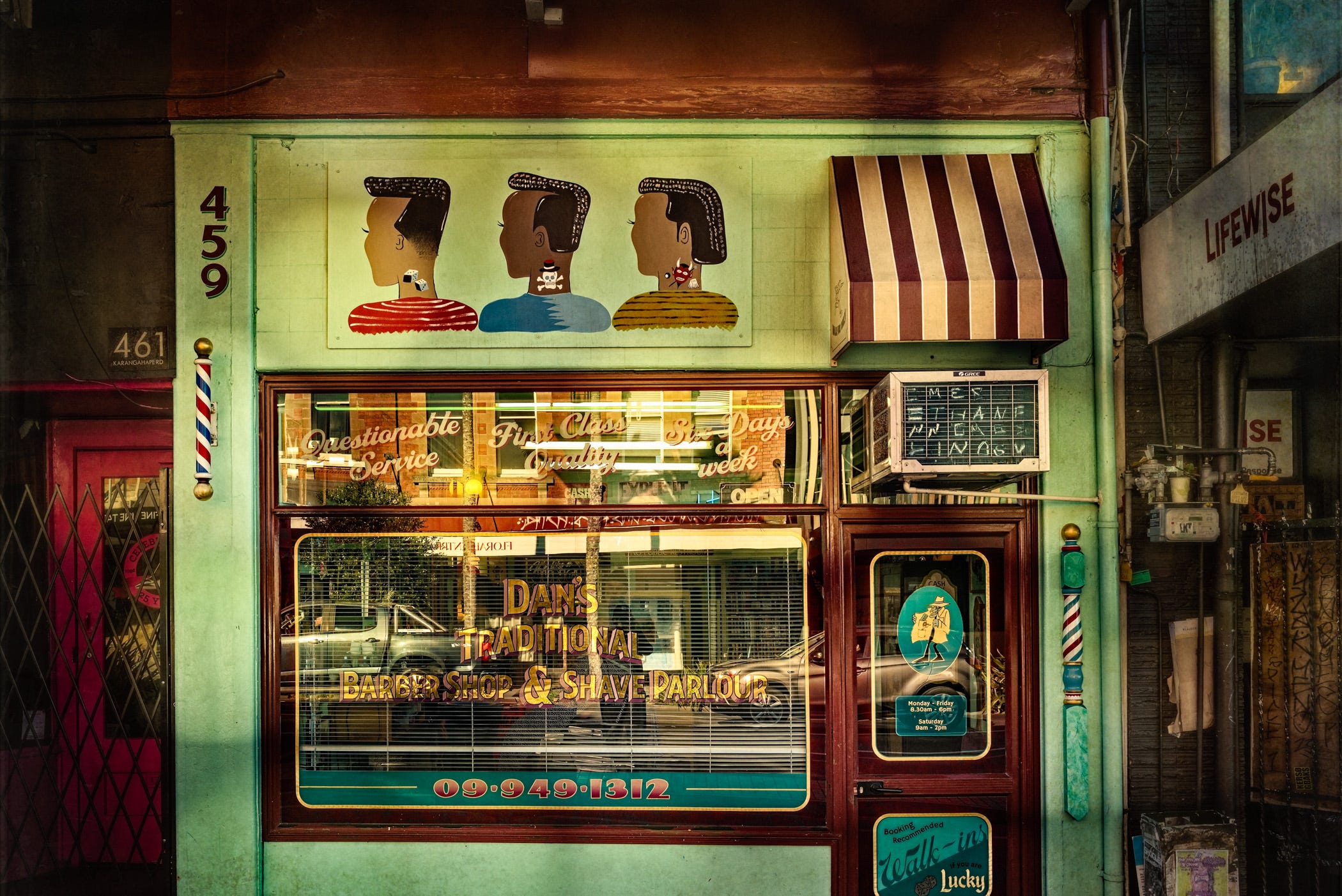 NZ Visual Diary - entry 269 - by Rich Greissman