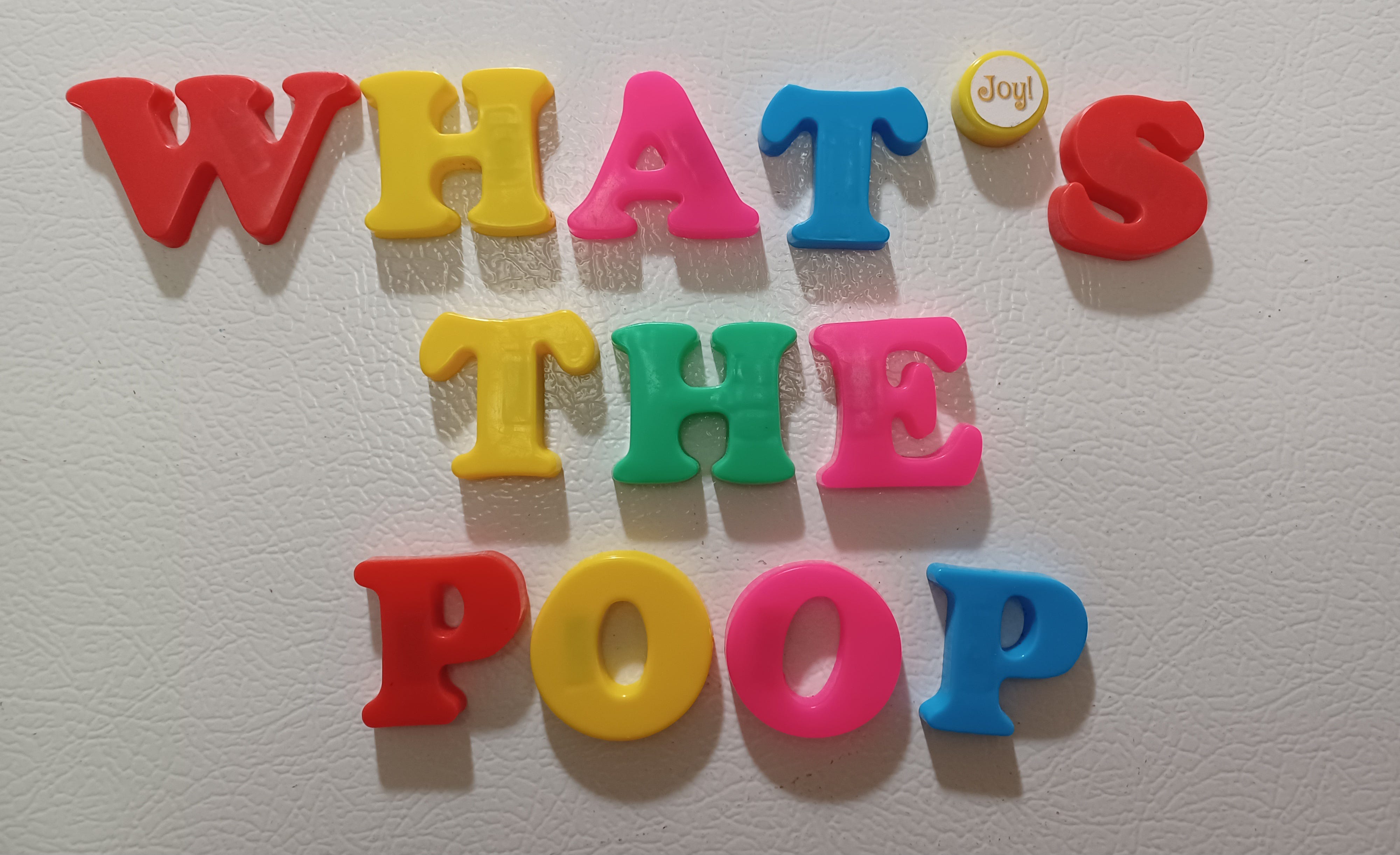 What's the Poop - by Kristen Malcolm