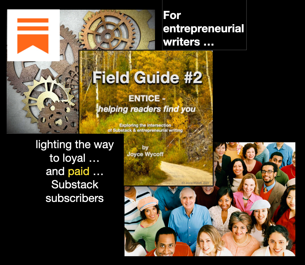 Substack Field Guide #2 ENTICE - by Joyce Wycoff