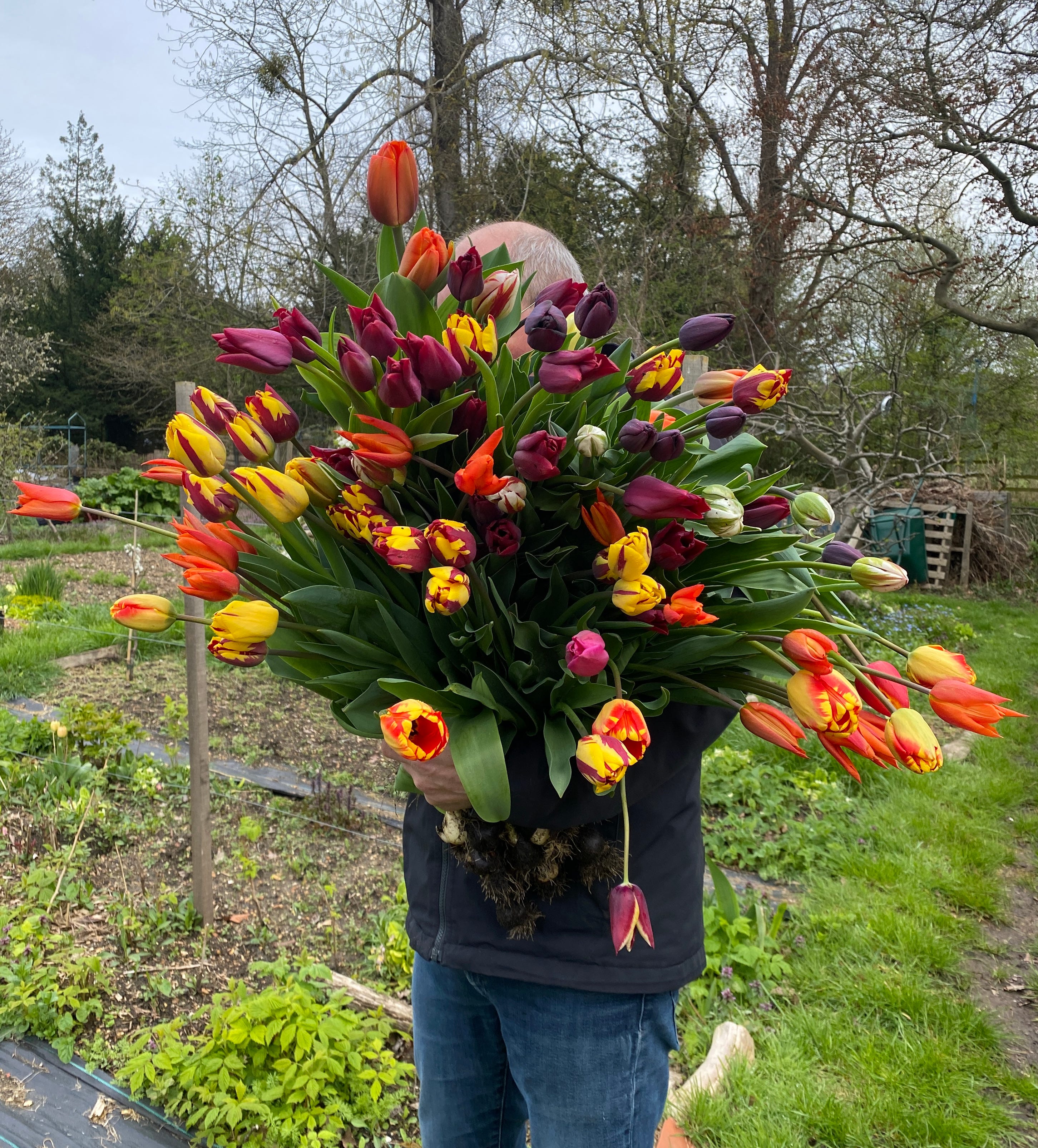 a look on the bright side - by Jane Brocket - yarnstorm