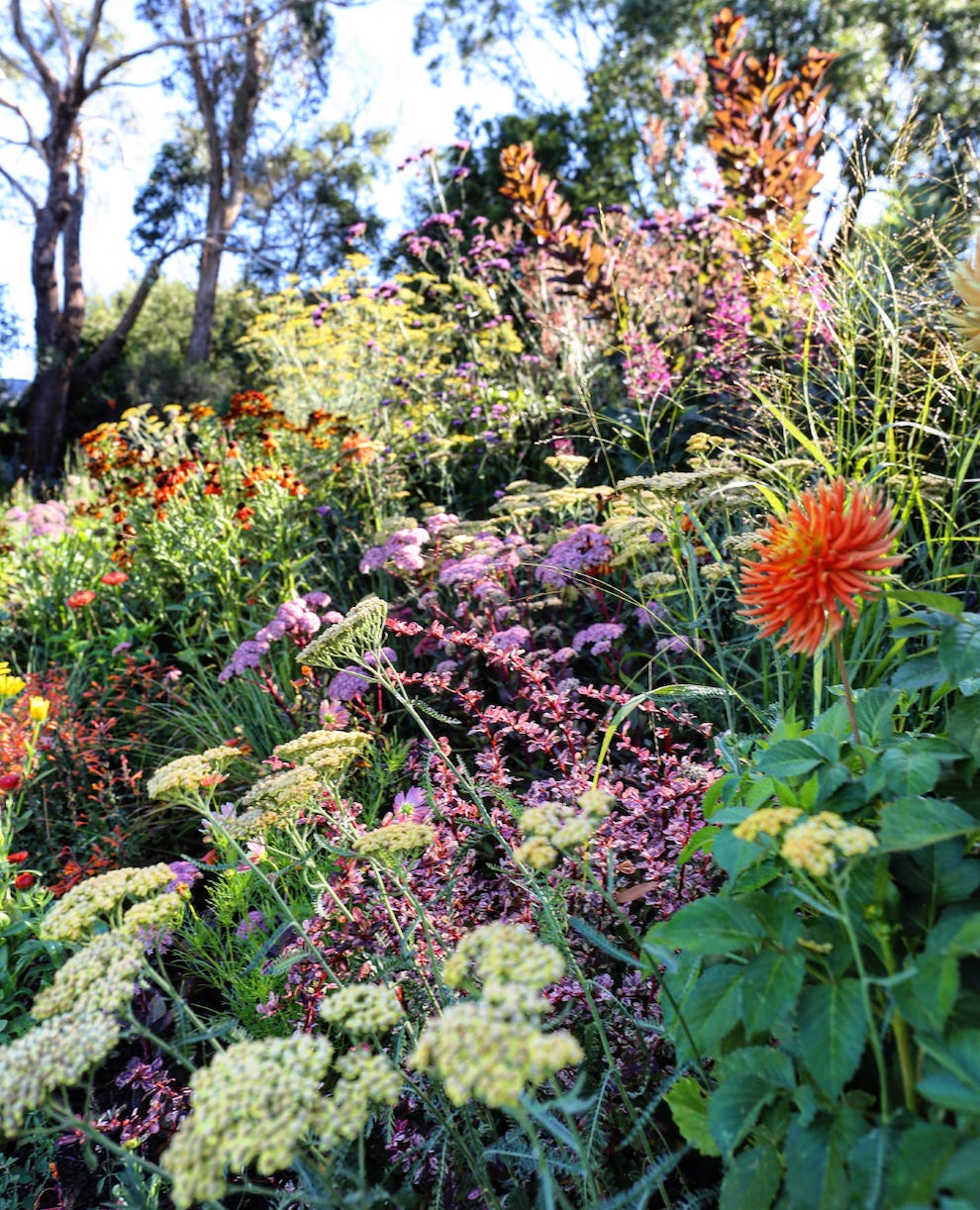 The Garden Gadabout - The Garden at Moorfield