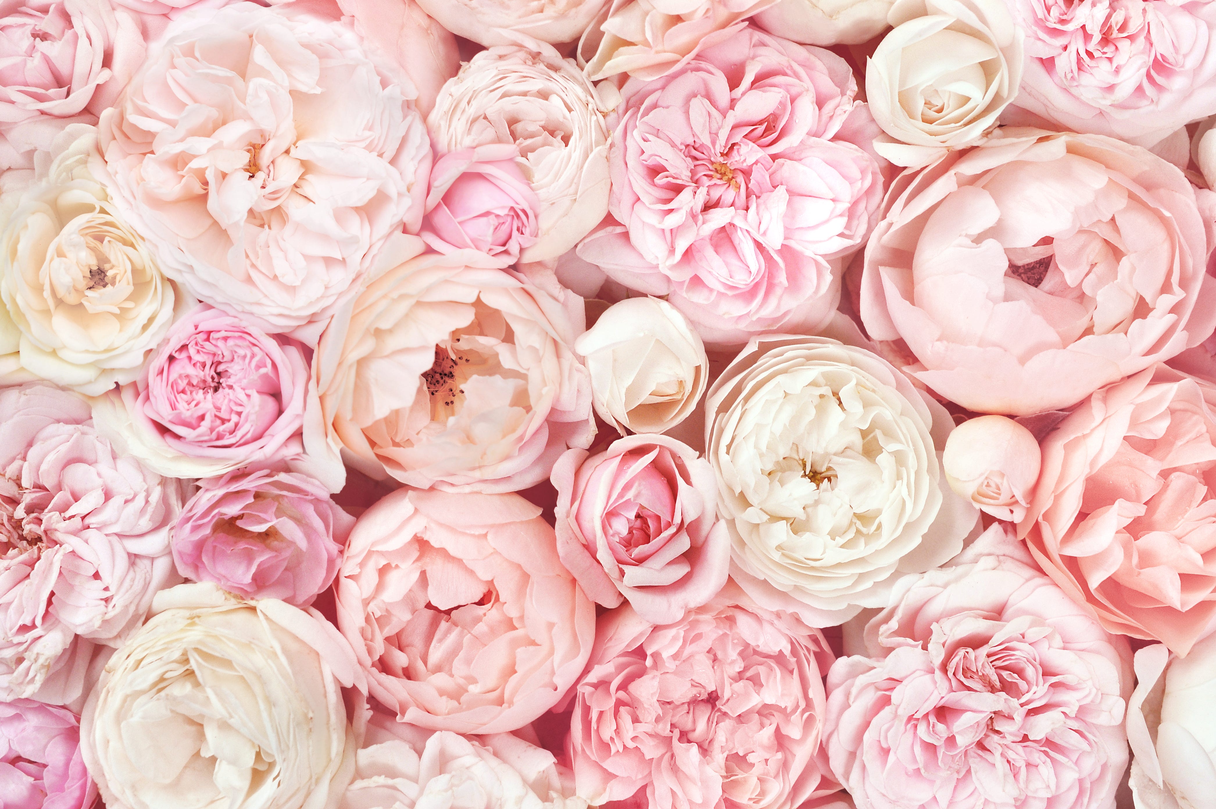 The Ten List: #12 - by Megan Kristel - Megan’s Substack