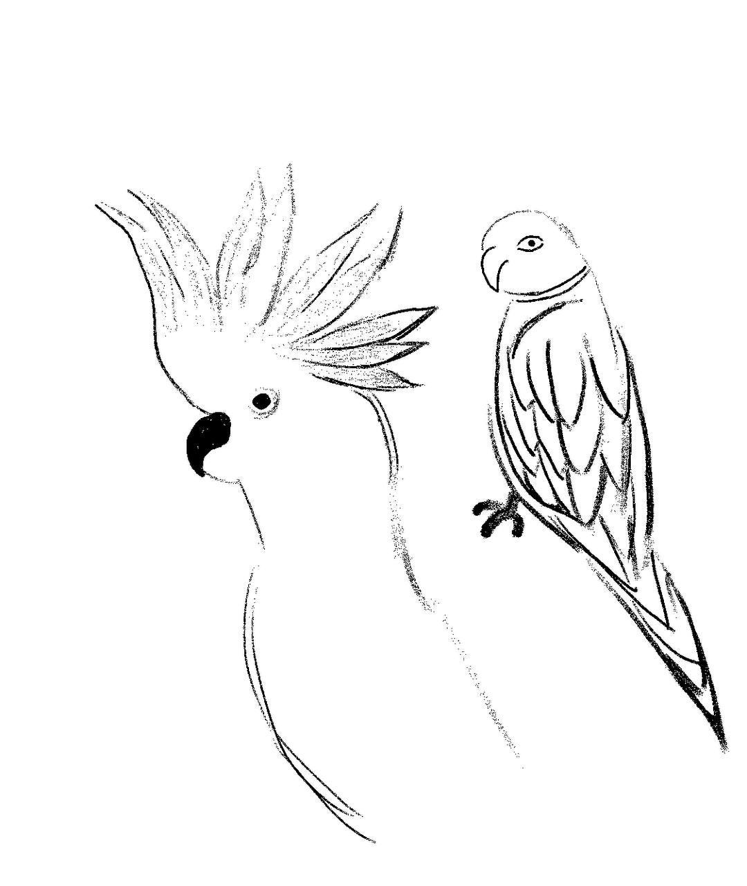 Naomi X.E. | Substack