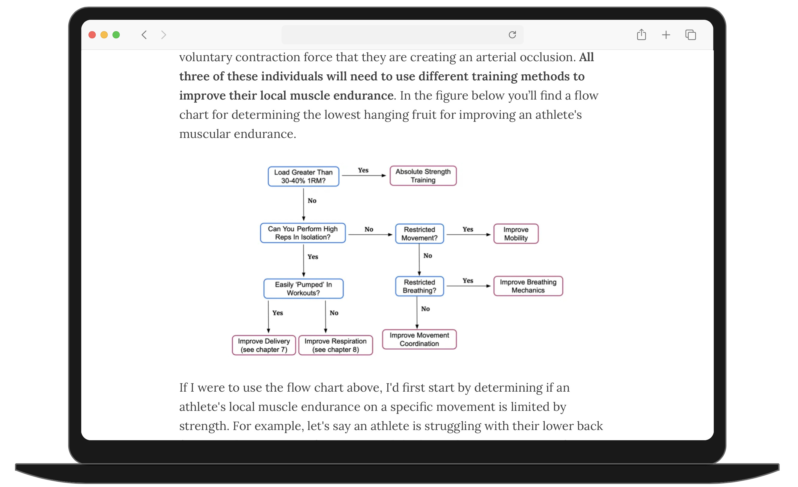 Understanding Local Muscle Endurance