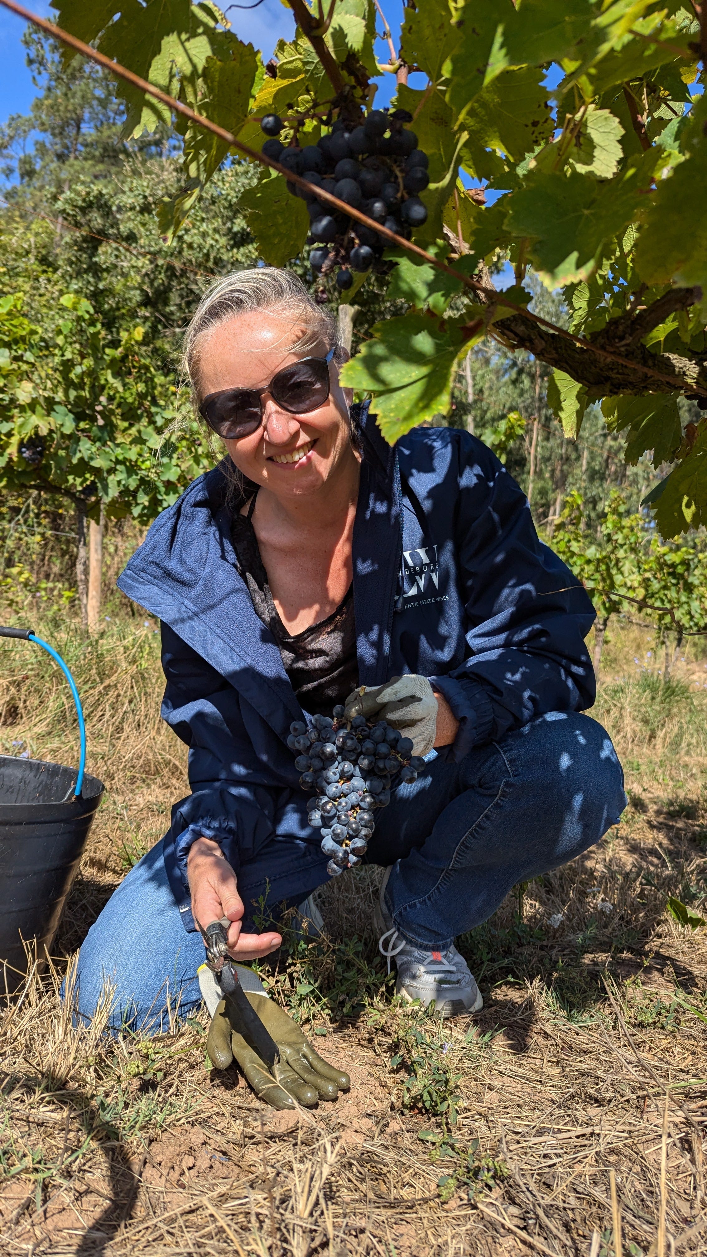 Postcards from Portugal - by Vicky Hampton