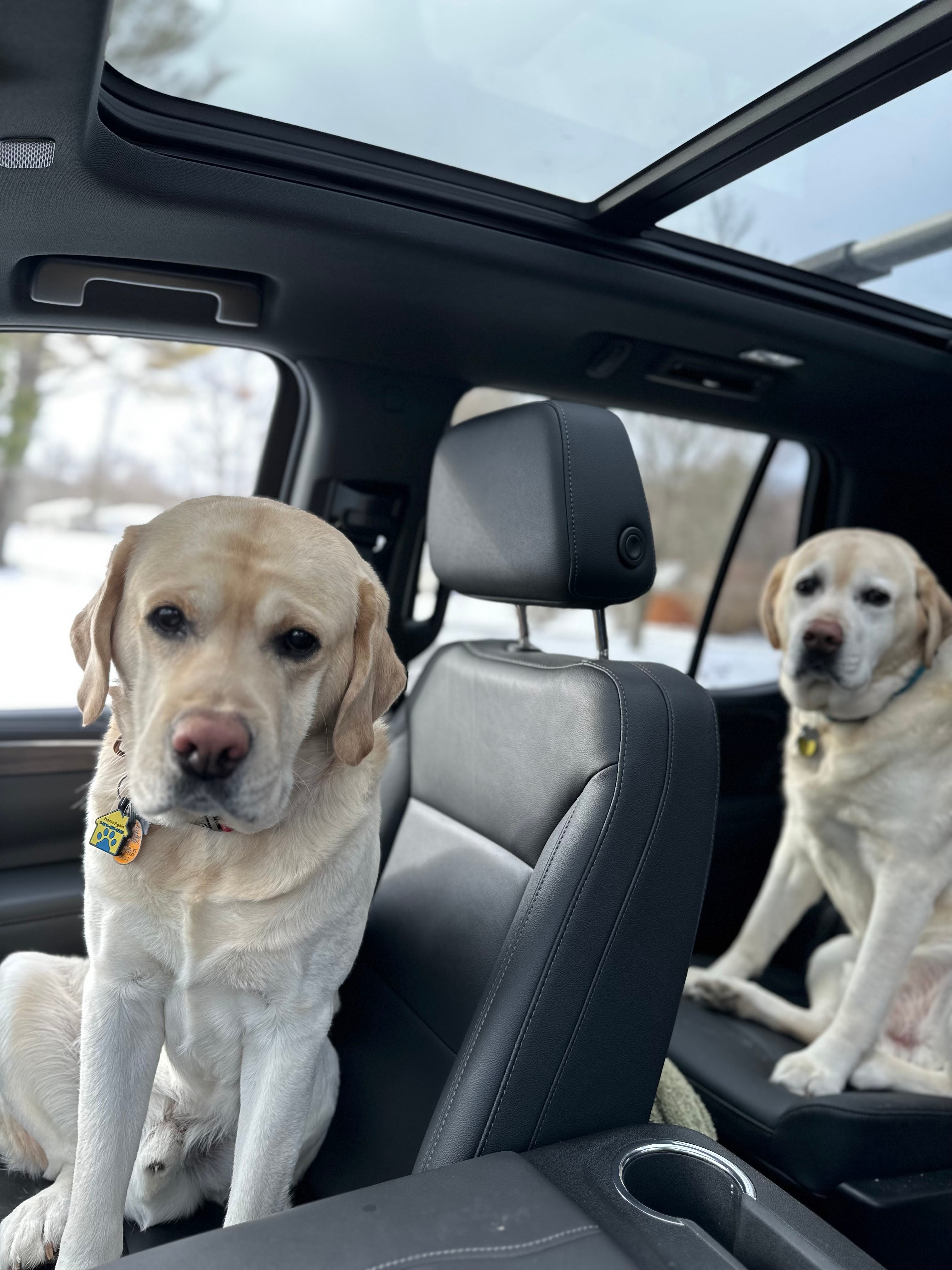 February 12, 2023 - by Trey Dobson, MD