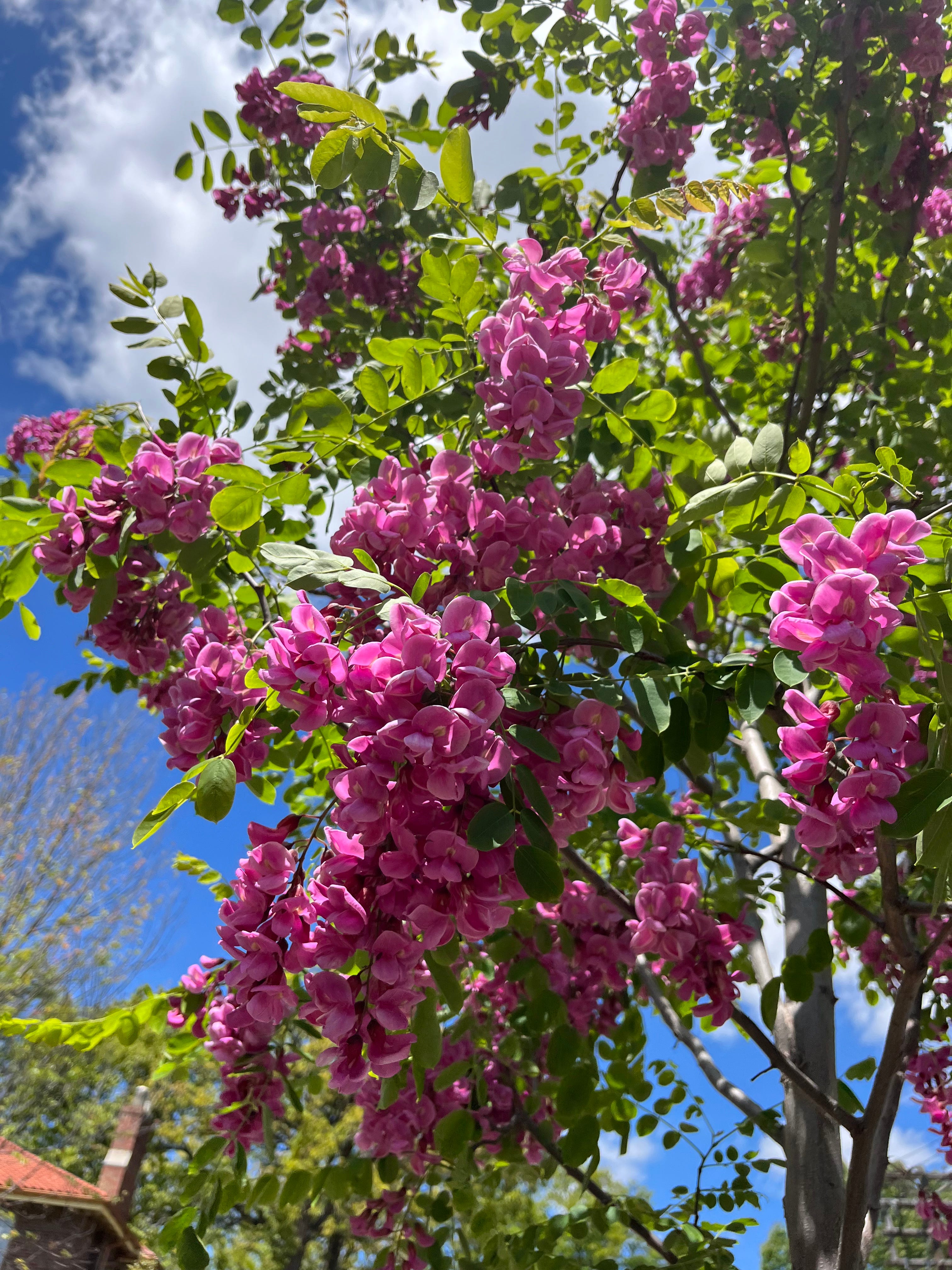 Be There Soon | Casey Gomez Walker | Substack