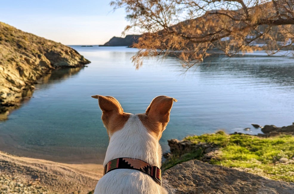 Scenes from our island - by Aglaia KREMEZI