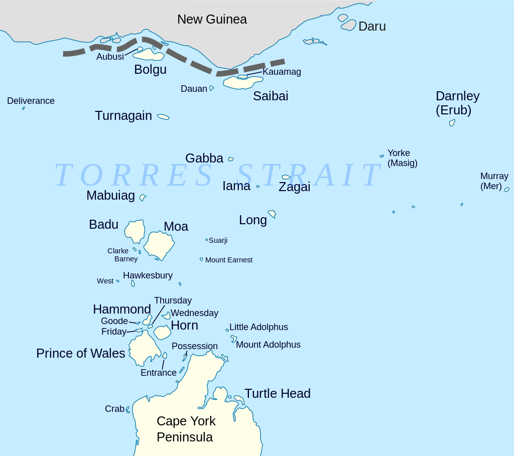 Dengue outbreak on Mer Island, Torres Strait