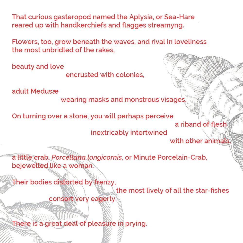 Reckless Extravagance – Share Your Toys