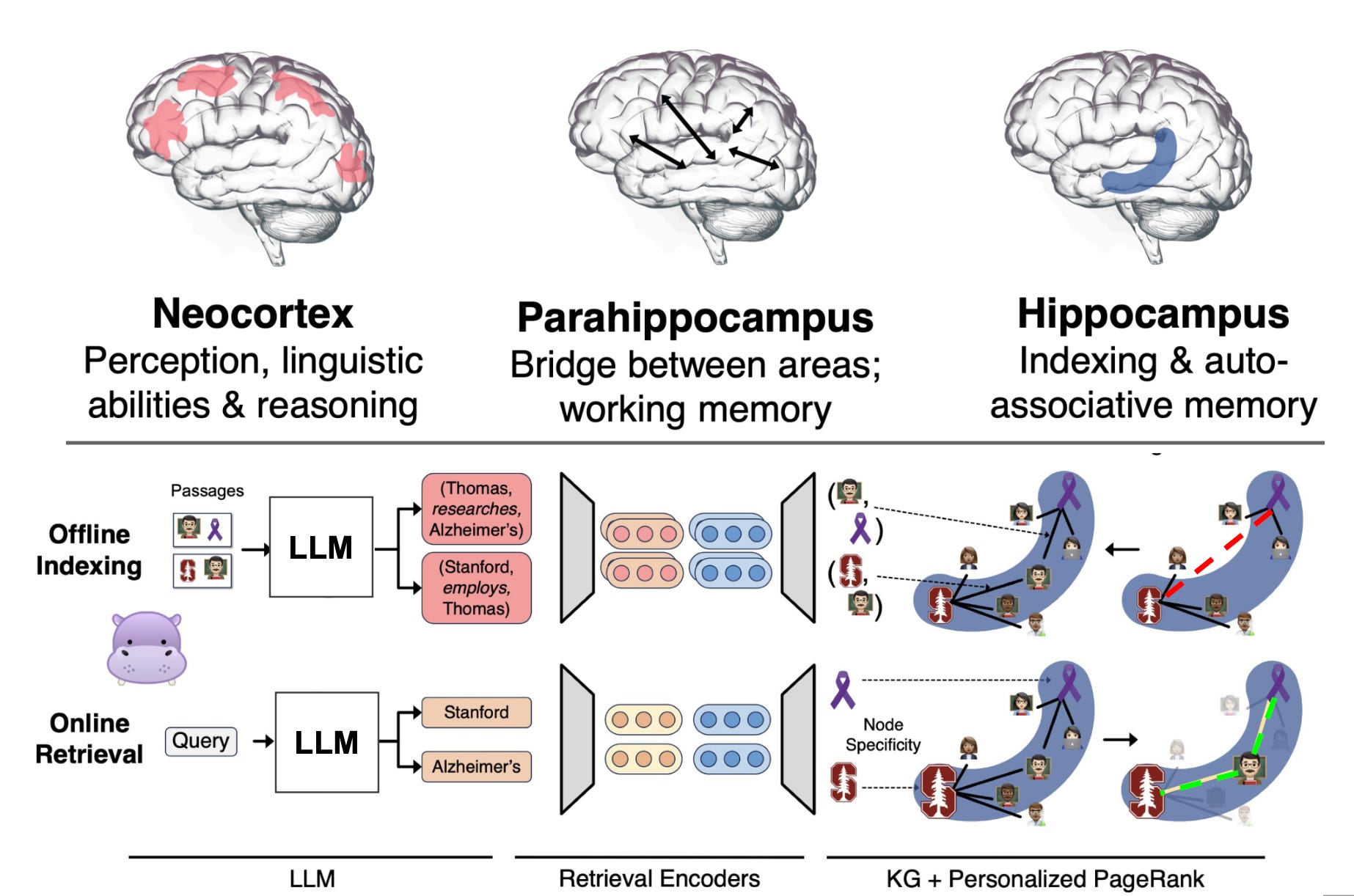 Boosting Brain-Inspired Memory for LLMs: HippoRAG and the Quest for ...