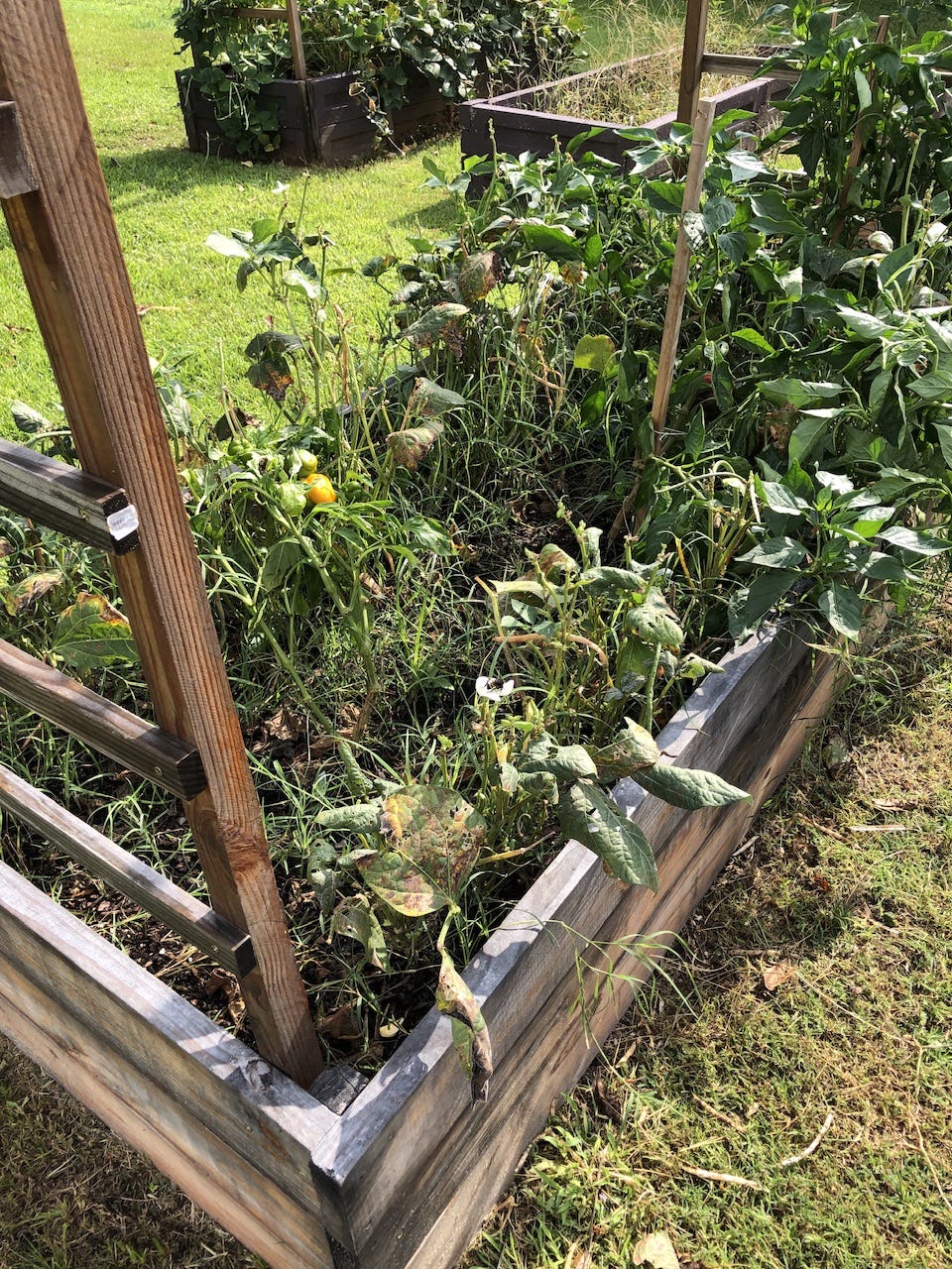 #10 Mr. McGregor’s Garden Book | Traditions for the Future