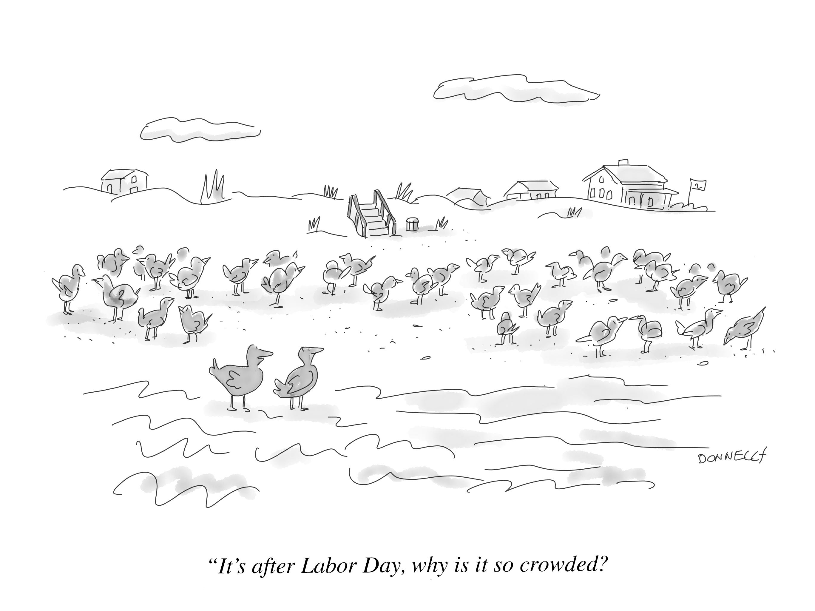 Labor Day Drawing - by Liza Donnelly - Seeing Things