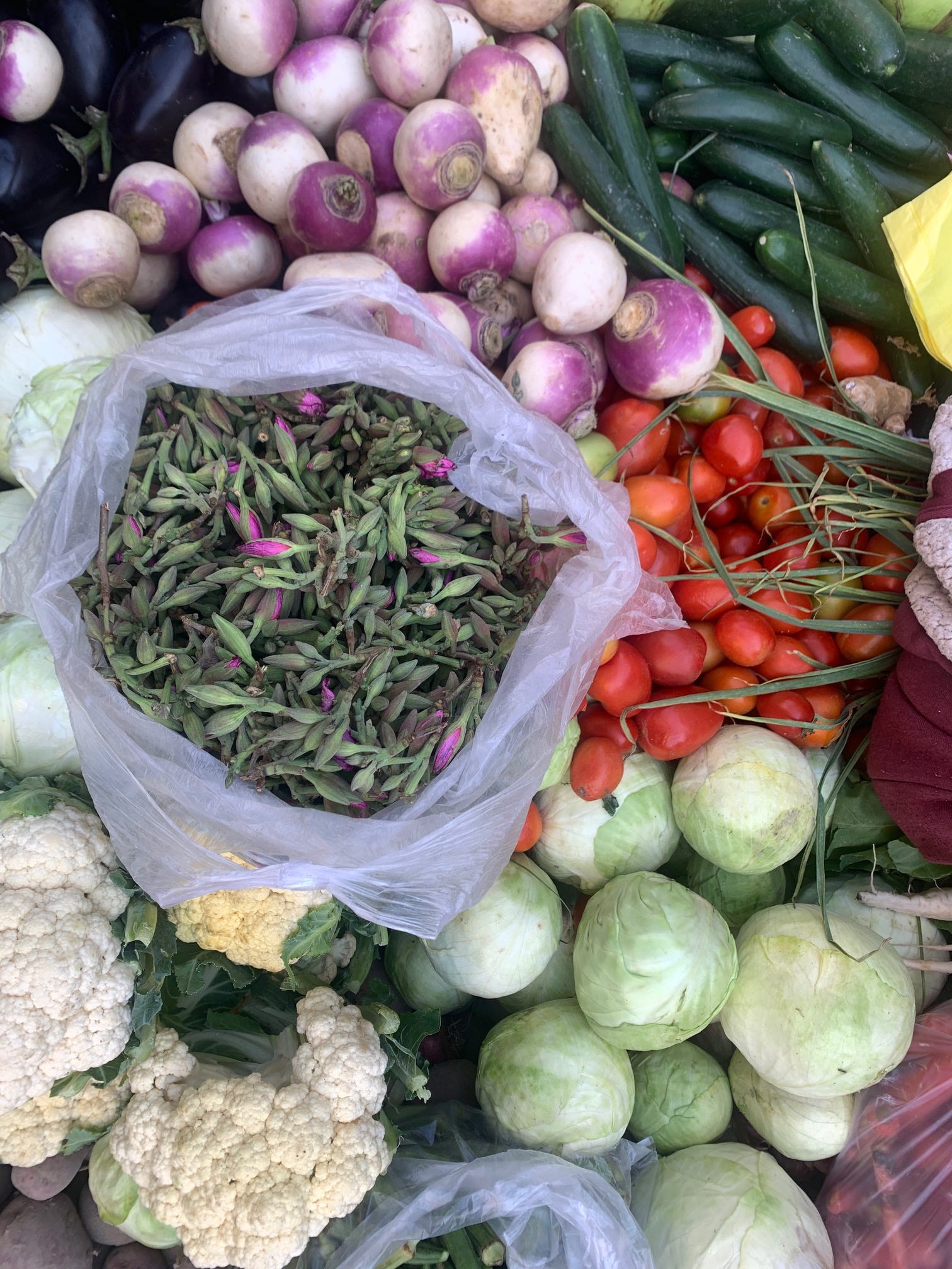 Pakistan Eats | Maryam | Substack