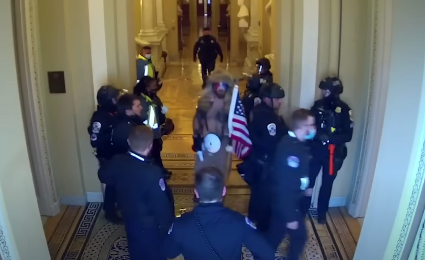 The Strange Case of Jacob Anthony Chansley