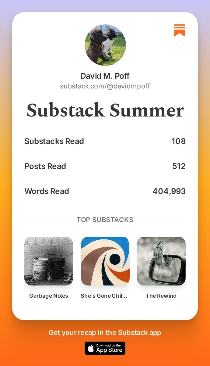 My Substack Summer - by David M. Poff - Hermit Chronicles