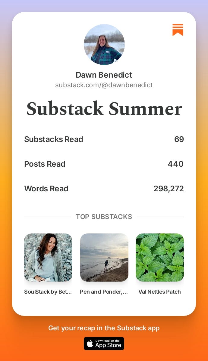 My Substack Summer
