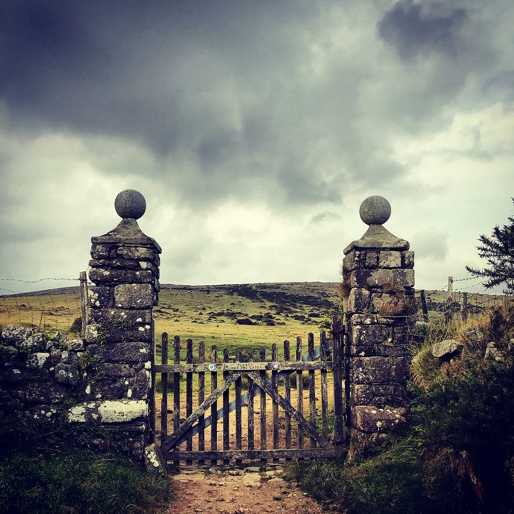 Tom Cox on Substack: "I think I found the gate that leads to winter. https://tomcox.substack.com"