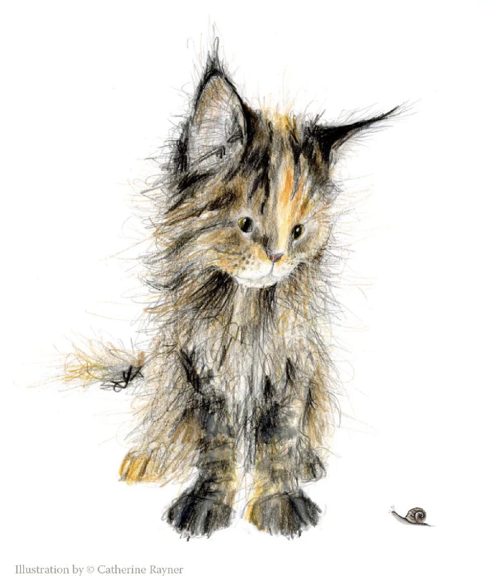 Hamish McKenzie on Substack: "This woman is utterly laying waste to the ...