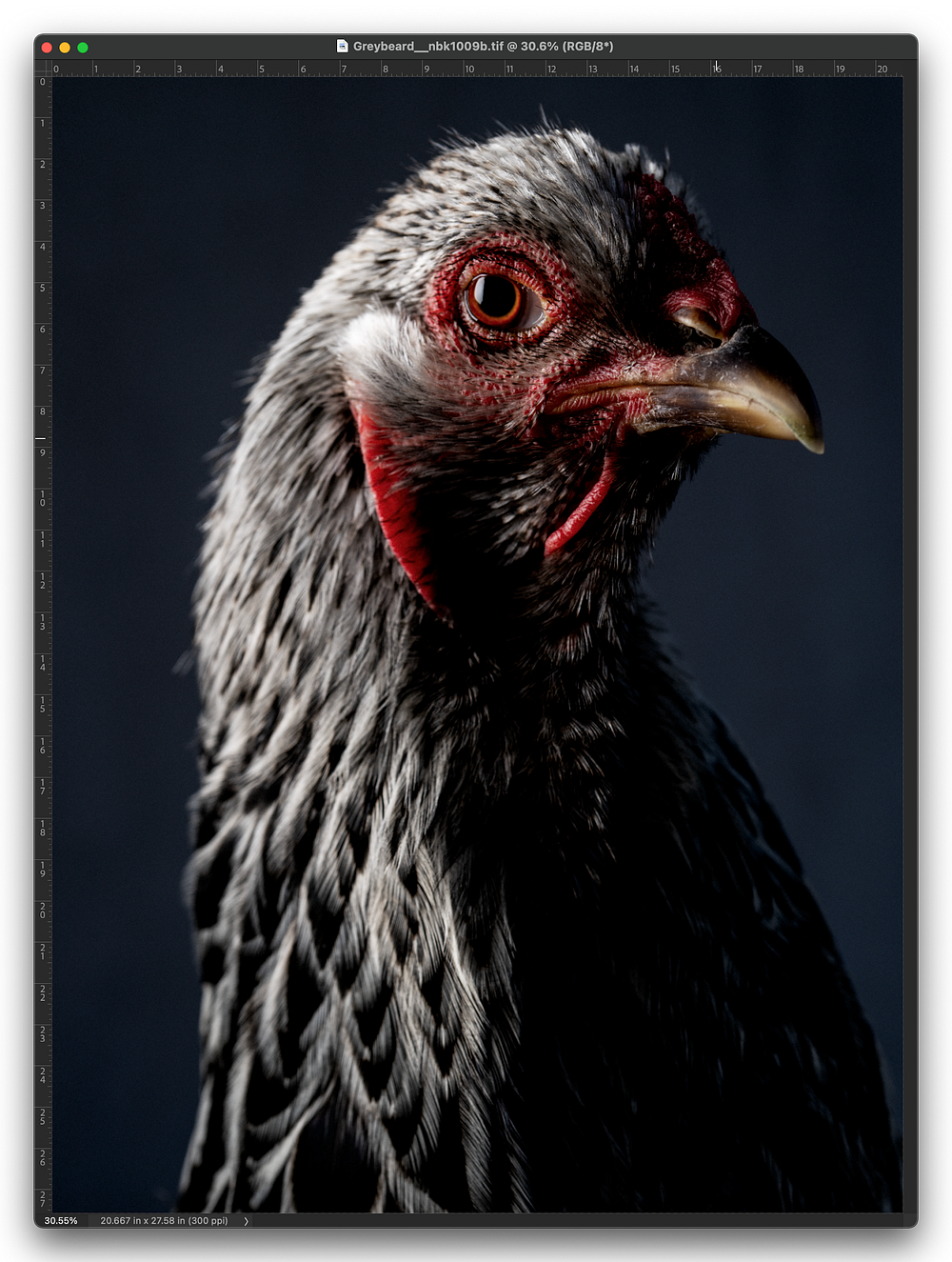 Noah Kalina on Substack: "I’m here now. After a two-year newsletter hiatus, I’ll be sending out ...