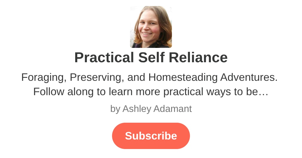 Practical Self Reliance | Ashley Adamant | Substack